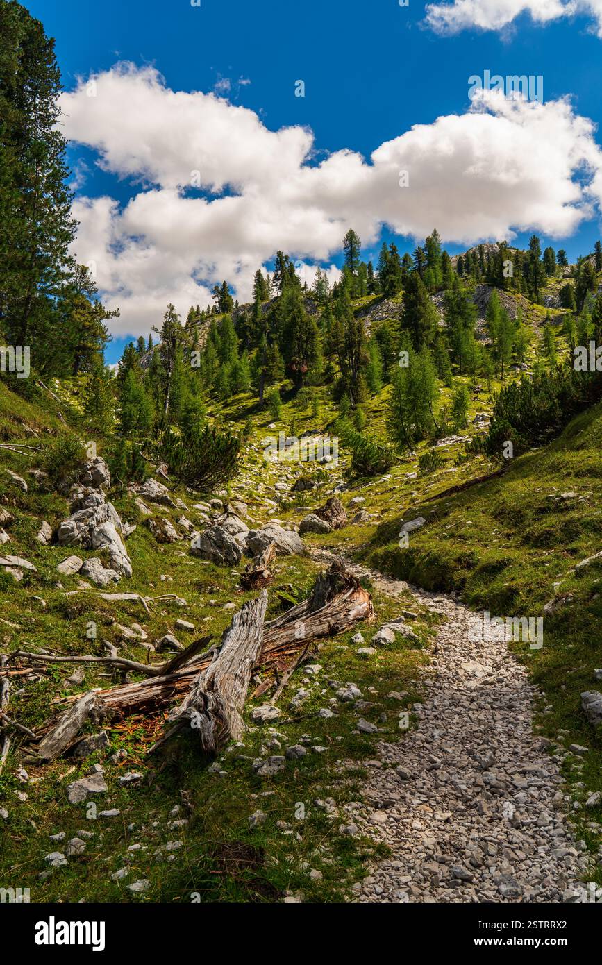 Narrow pedestrian trail winding through breathtaking landscapes ...
