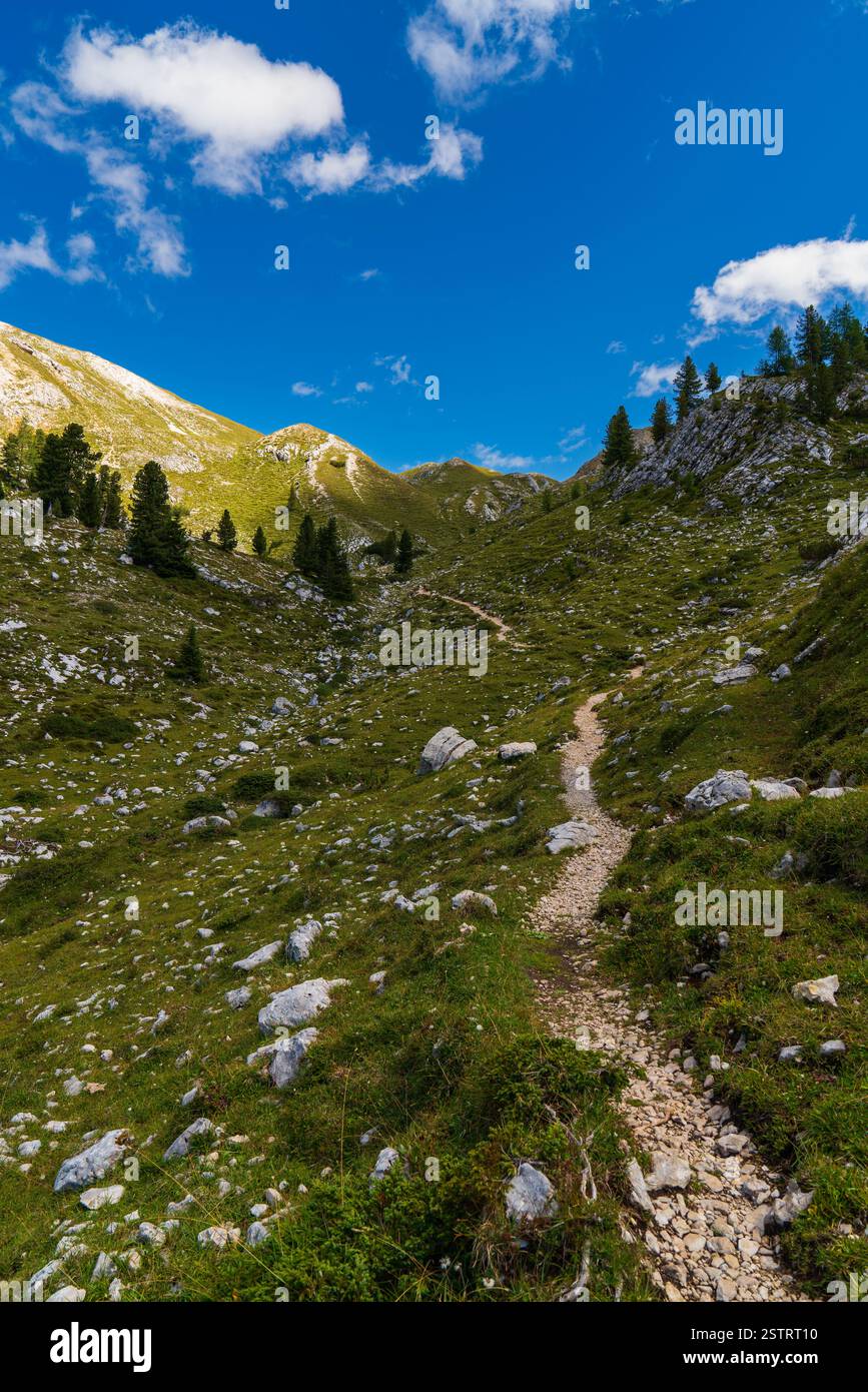 Narrow pedestrian trail winding through breathtaking landscapes ...