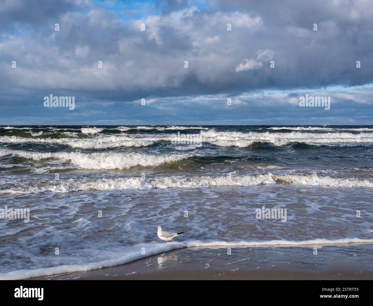 Winterliche Impressionen von der polnischen Ostseeküste in Misdroy ...