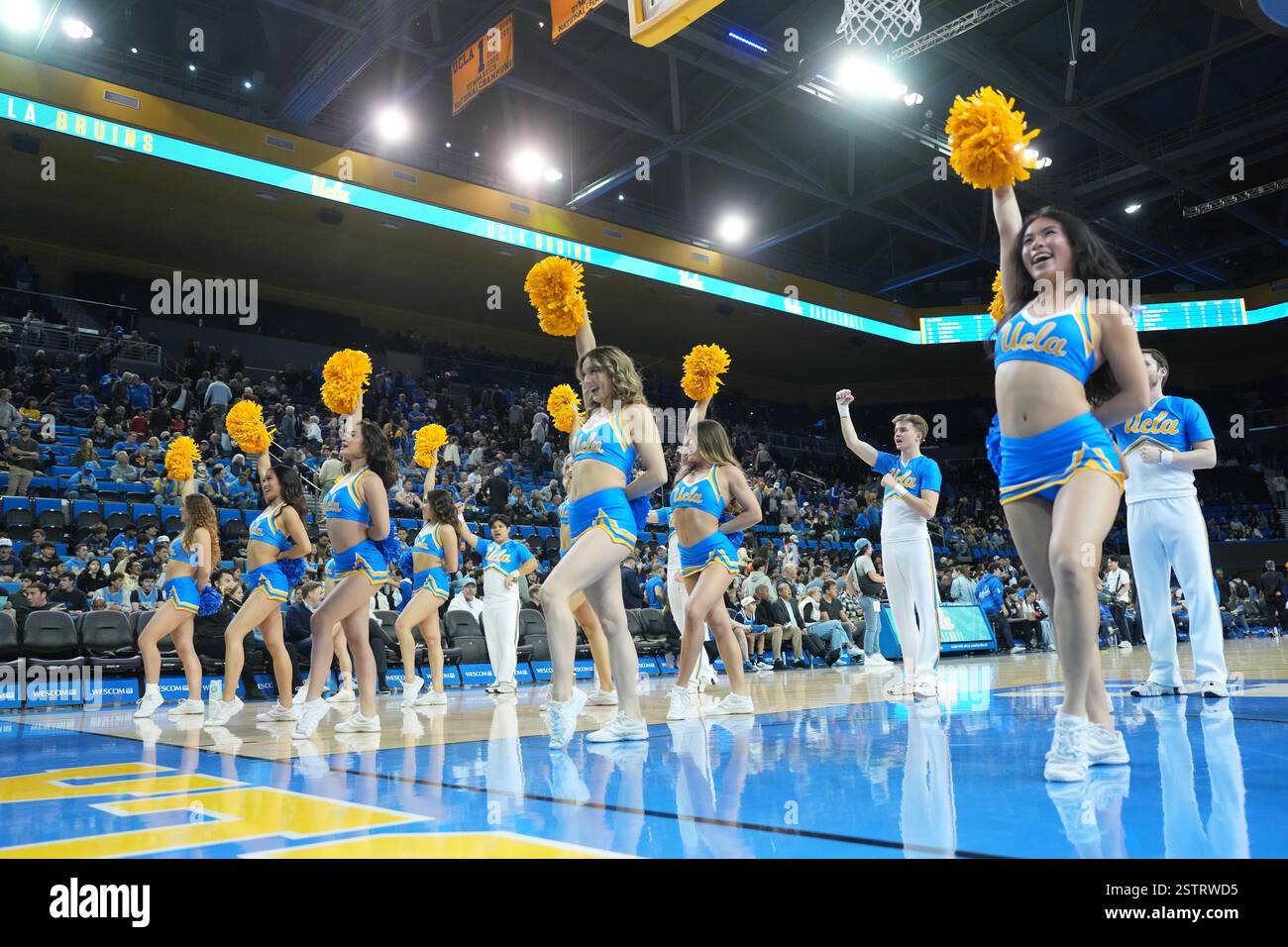 Los Angeles, United State. 18th Feb, 2025. UCLA Bruins cheerleaders ...