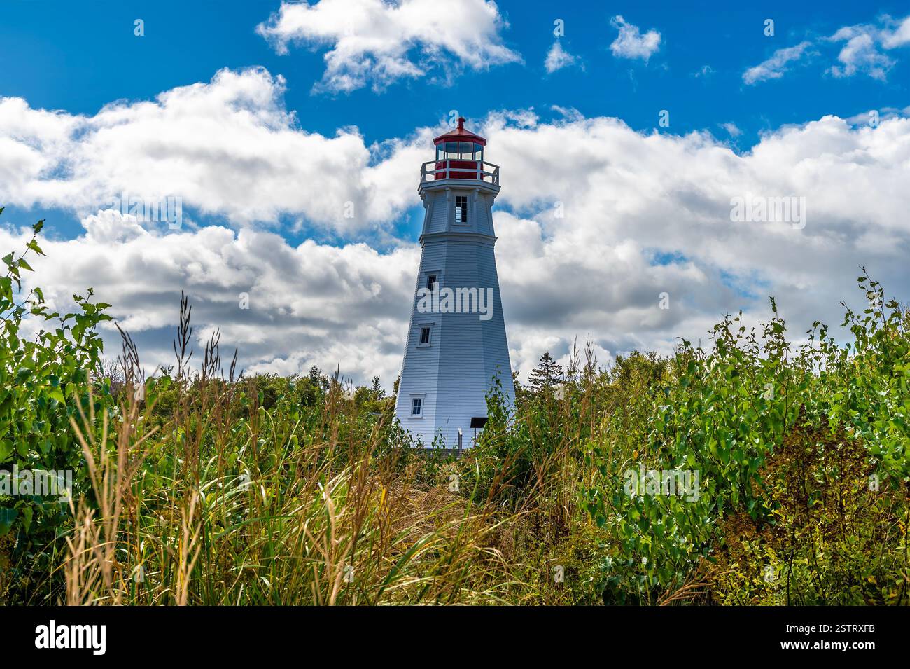 A view through undergrowth towards the lighthouse by the Confederation ...