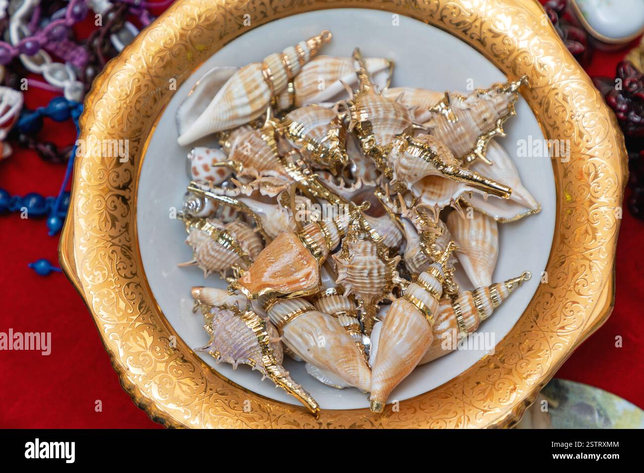 Sea shells for craft hi-res stock photography and images - Alamy