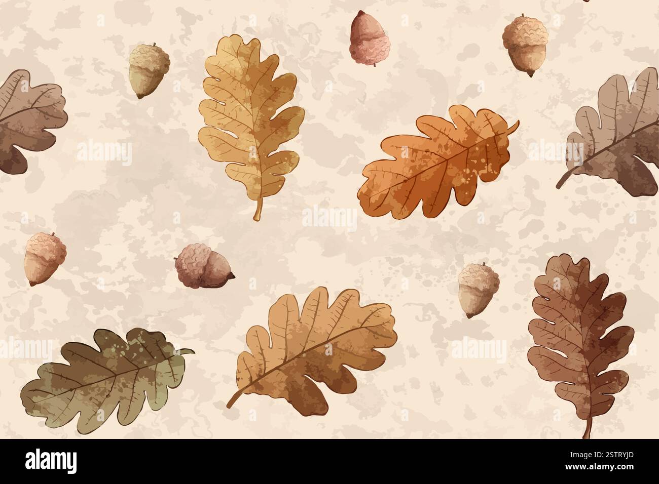 Vector flower seamless acorn watercolor pattern element. Elegant ...