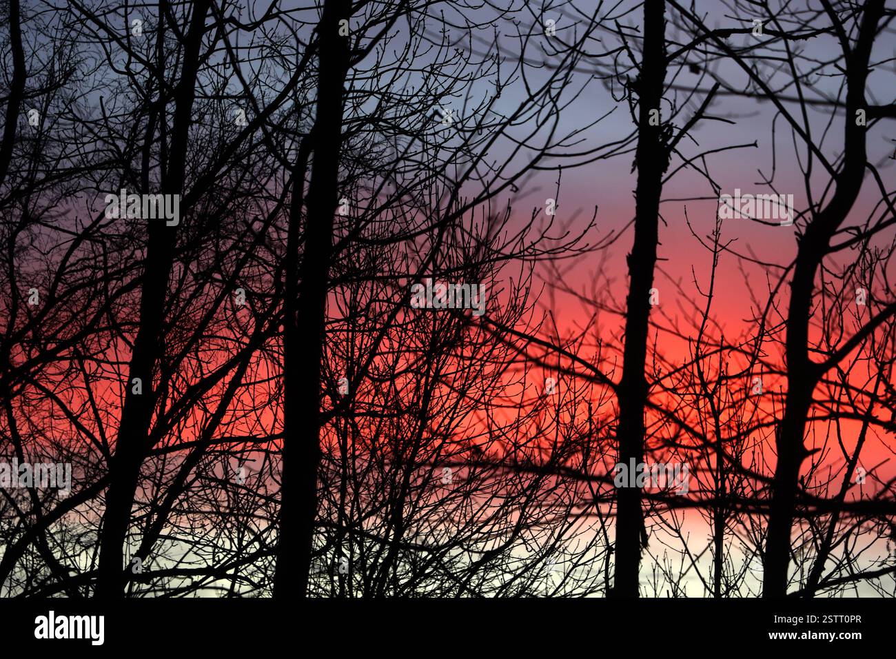 Ruhige Abendstimmung im Winter Sonnenuntergang mit leuchtenden, roten ...