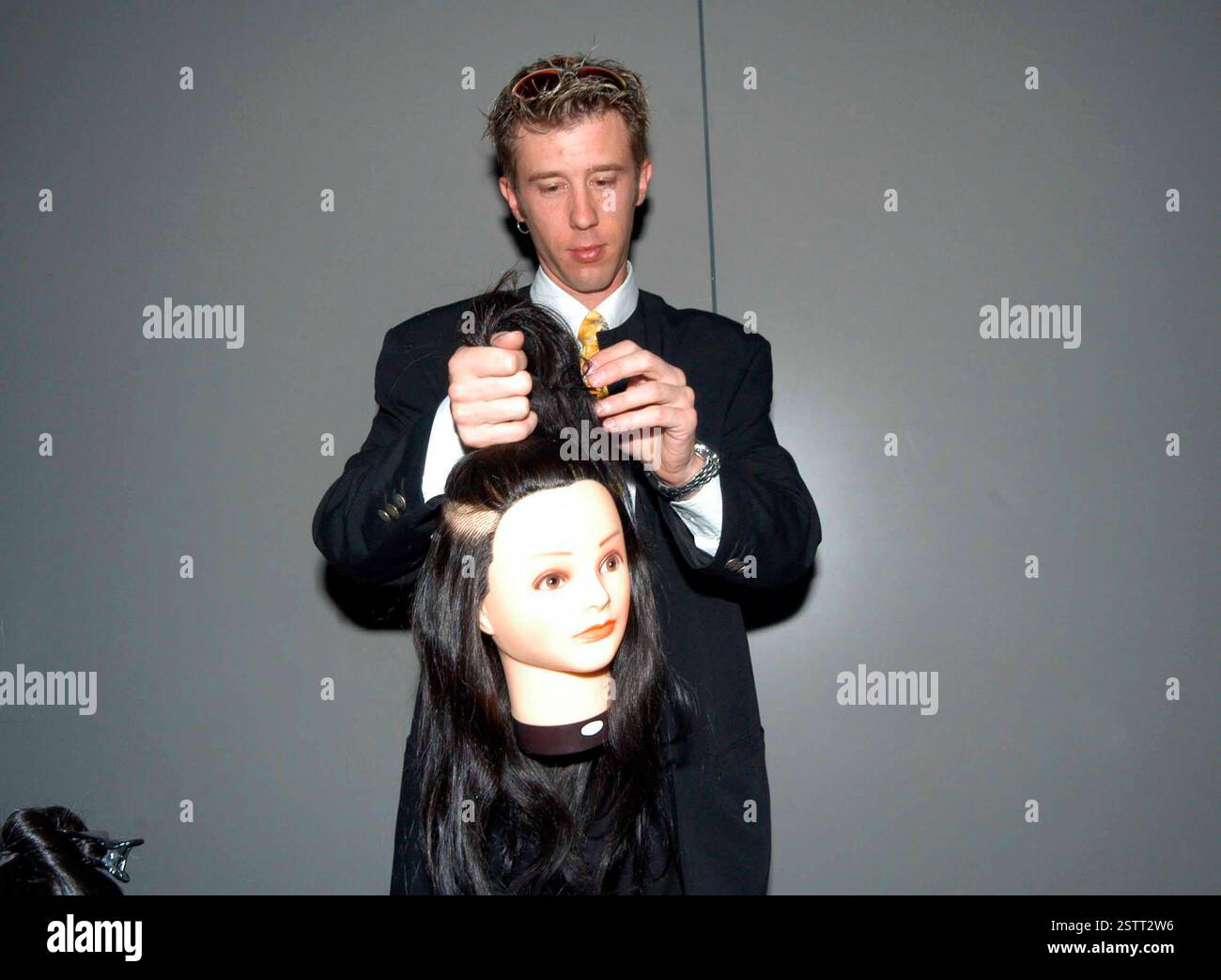 the hairstyle of a human being, hairs on the head hairstyle of a human ...