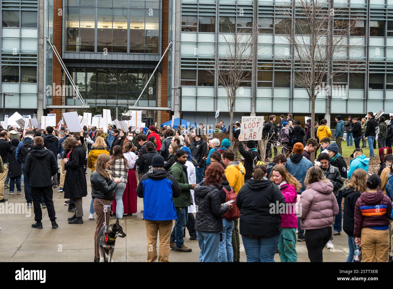 Seattle, USA. 19th Feb 2025. Over 500 people picketing at University of ...
