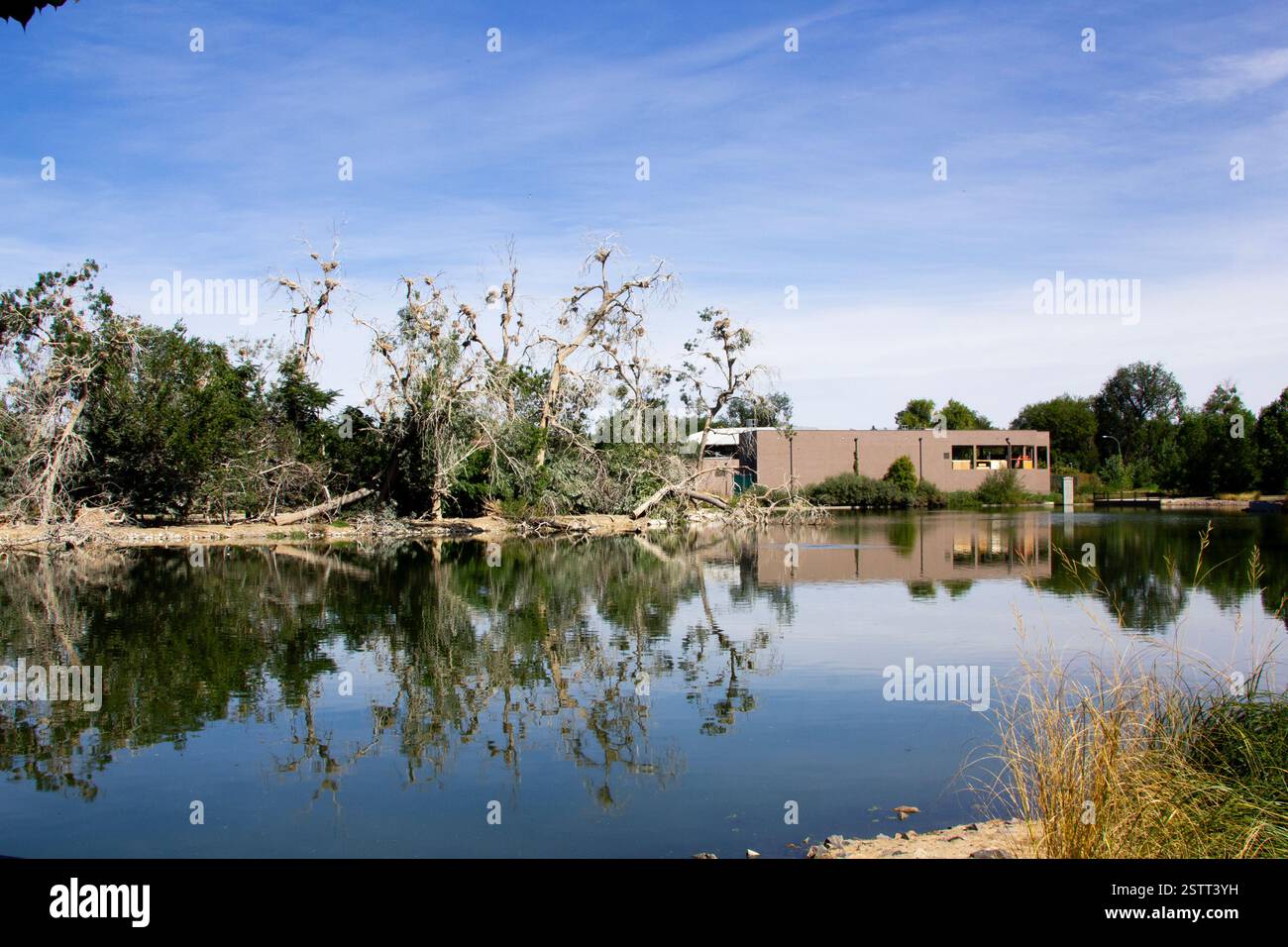 A scenic garden walkway with vibrant foliage, creating a harmonious ...