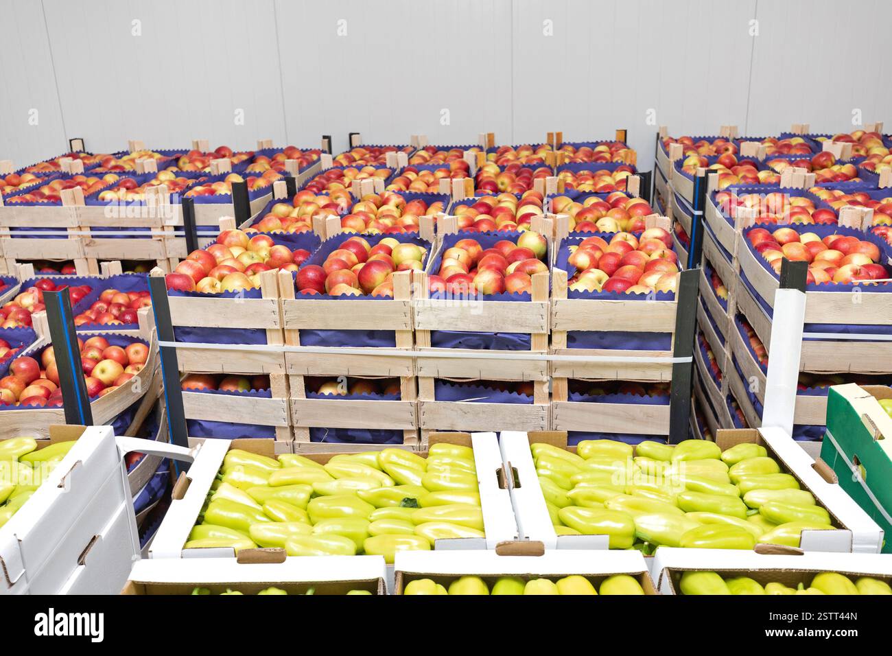 Apples and Peppers Stock Photo - Alamy