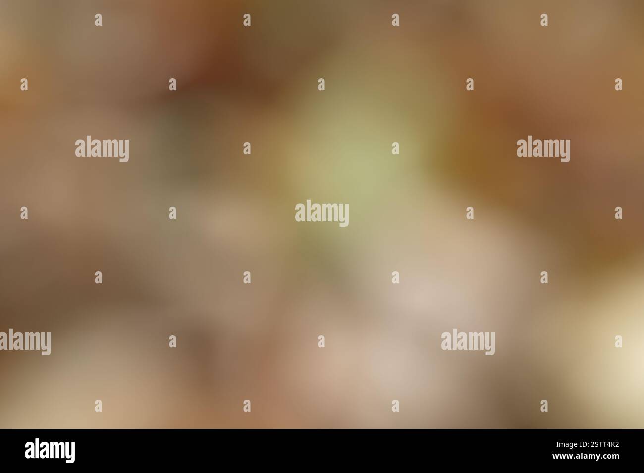 Abstract blurred background with muted earth tones and subtle color ...