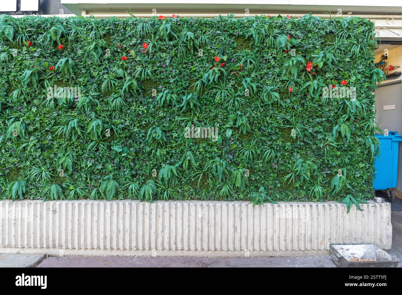 Plastic hedge hi-res stock photography and images - Alamy