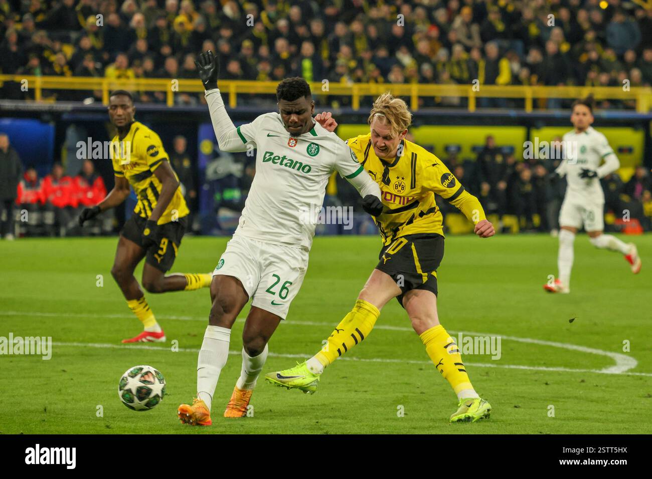 Dortmund, Deutschland. 19th Feb, 2025. Dortmund, Deutschland 19. Februar 2025: Champions League ...