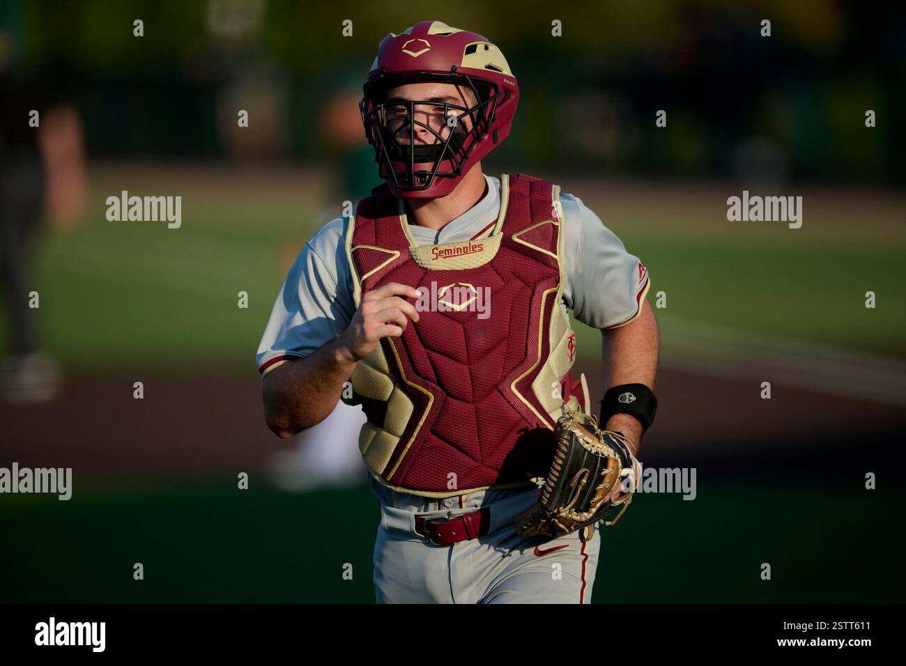 Florida State Seminoles catcher Hunter Carns (25) during an NCAA ...