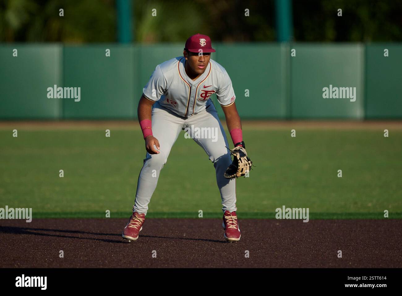 Florida State Seminoles first baseman Myles Bailey (12) during an NCAA ...