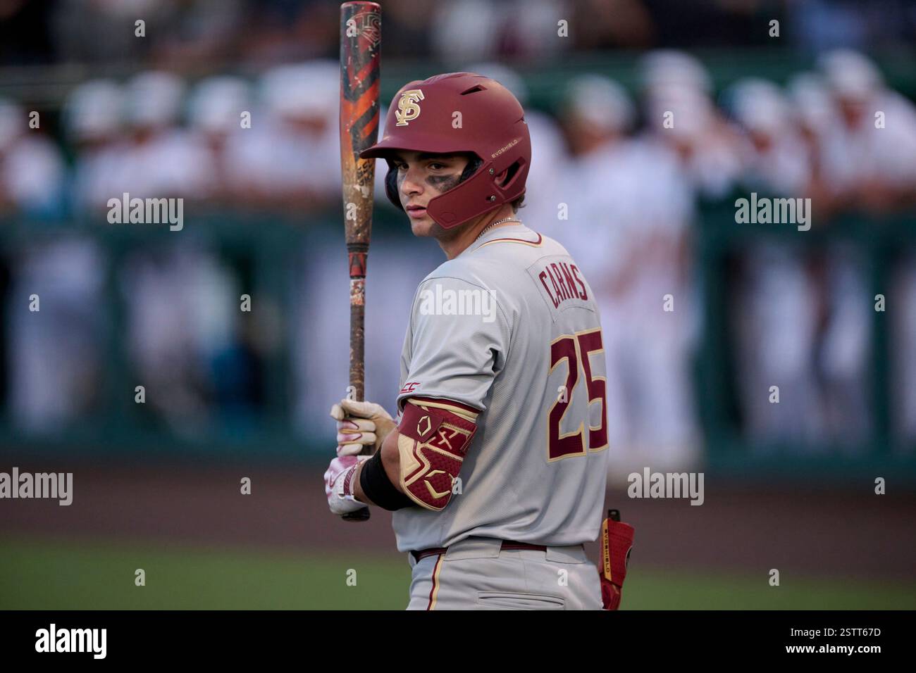 Florida State Seminoles Hunter Carns (25) at bat during an NCAA ...