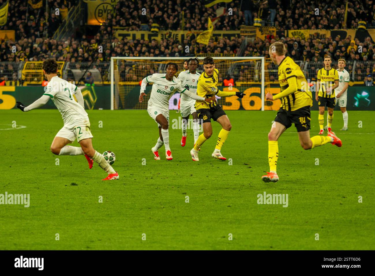 Dortmund, Deutschland. 19th Feb, 2025. Dortmund, Deutschland 19. Februar 2025: Champions League ...