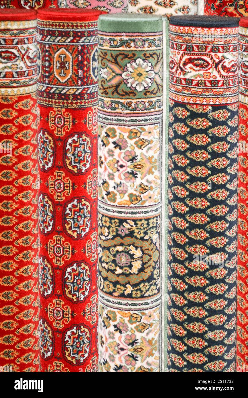 House rugs hi-res stock photography and images - Alamy