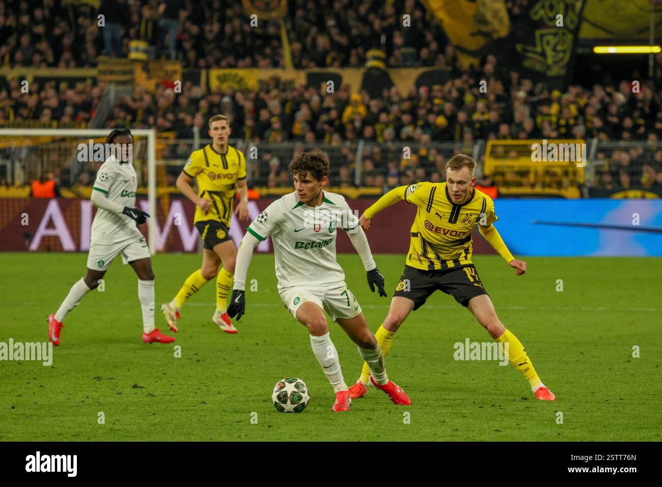 Dortmund, Deutschland. 19th Feb, 2025. Dortmund, Deutschland 19. Februar 2025: Champions League ...