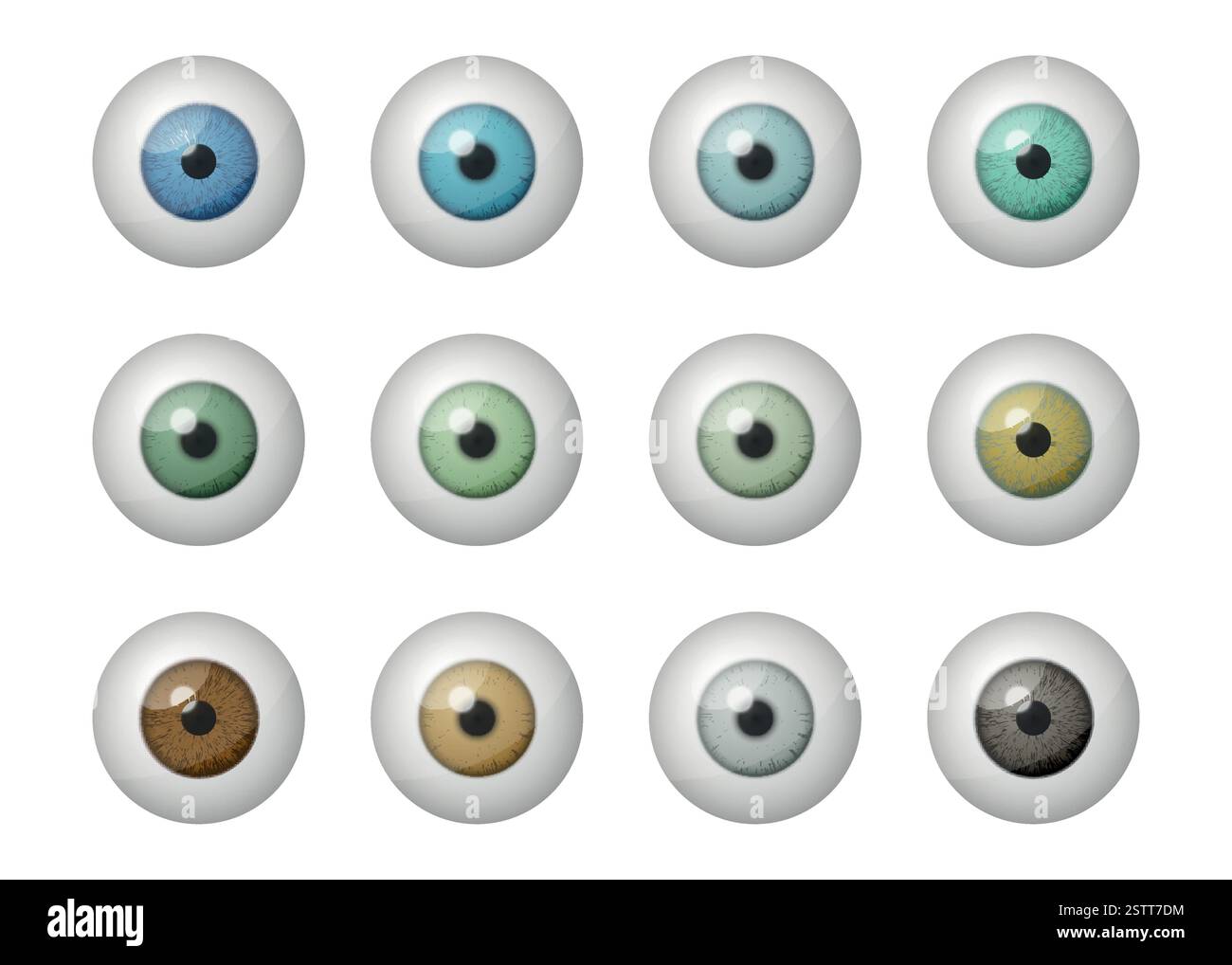 Realistic Vector Isolated Round Eyeballs Set With Various Pupil Colors ...