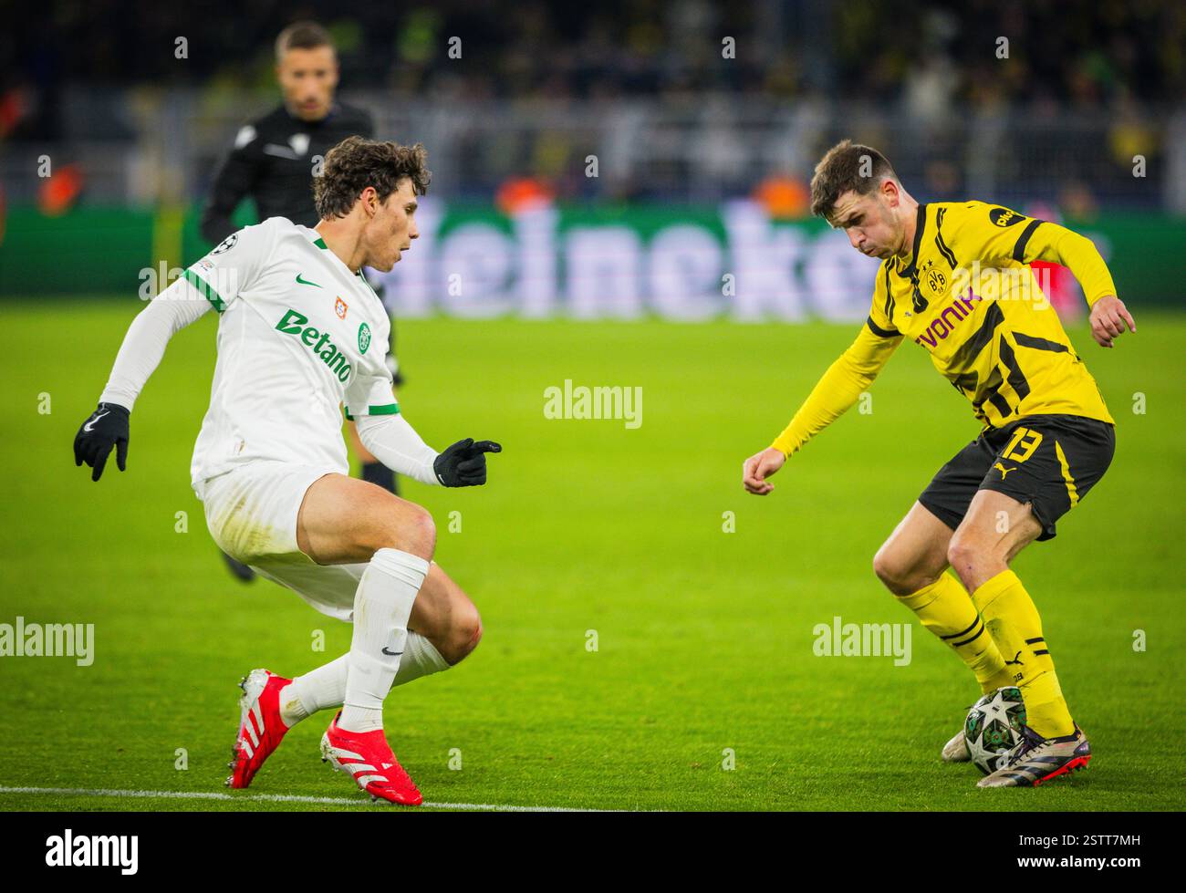 Dortmund, Germany. 19th Feb 2025. Pascal Gross (BvB) Eduardo Quaresma (SP) Borussia Dortmund ...