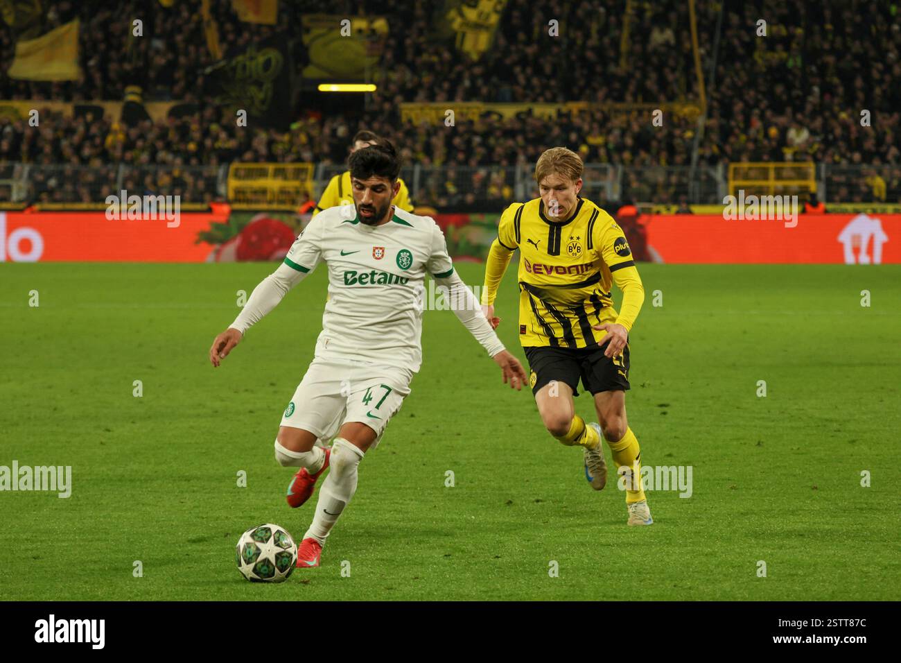 Dortmund, Deutschland. 19th Feb, 2025. Dortmund, Deutschland 19. Februar 2025: Champions League ...