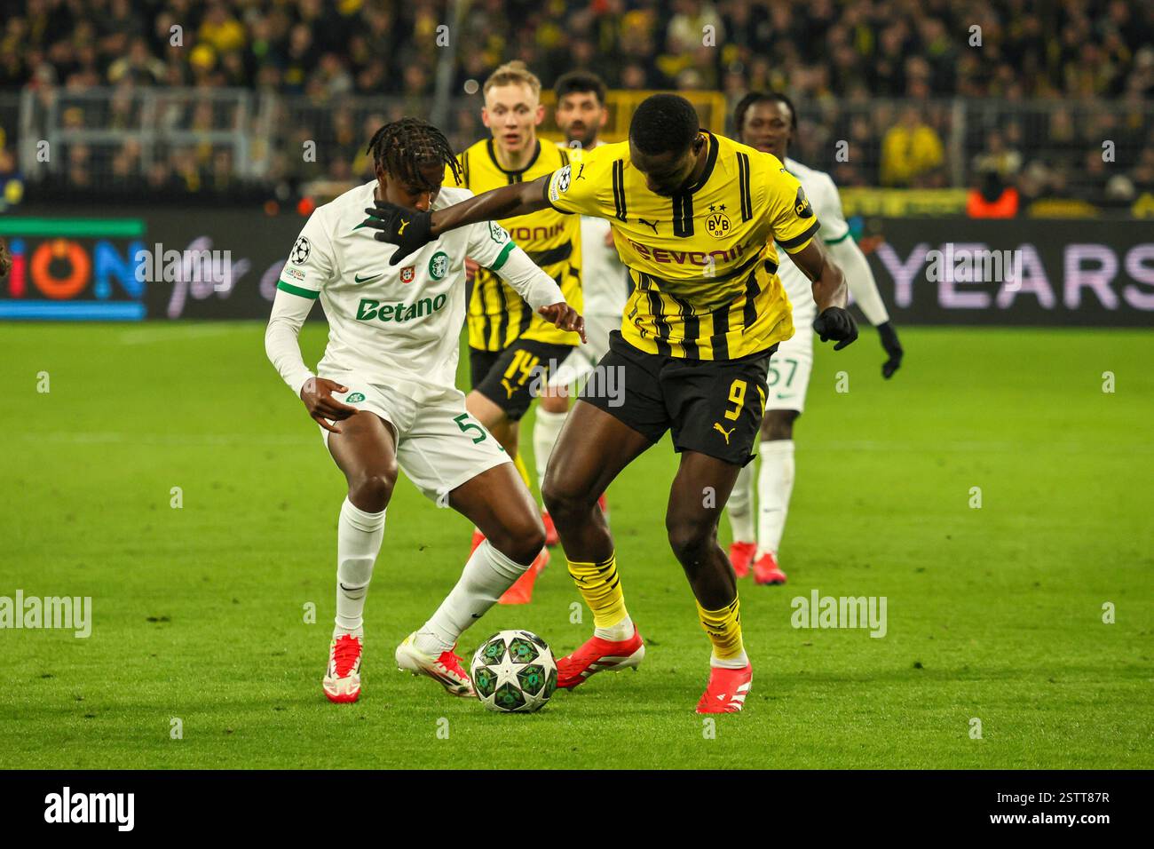 Dortmund, Deutschland. 19th Feb, 2025. Dortmund, Deutschland 19. Februar 2025: Champions League ...