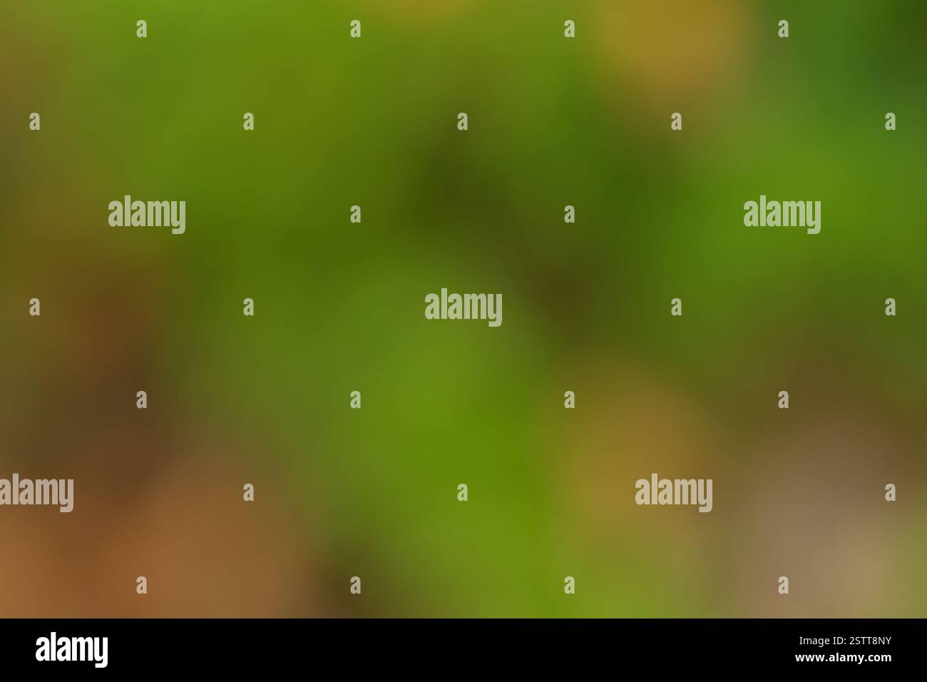 Abstract nature background with blurred greens and browns A hazy out of ...