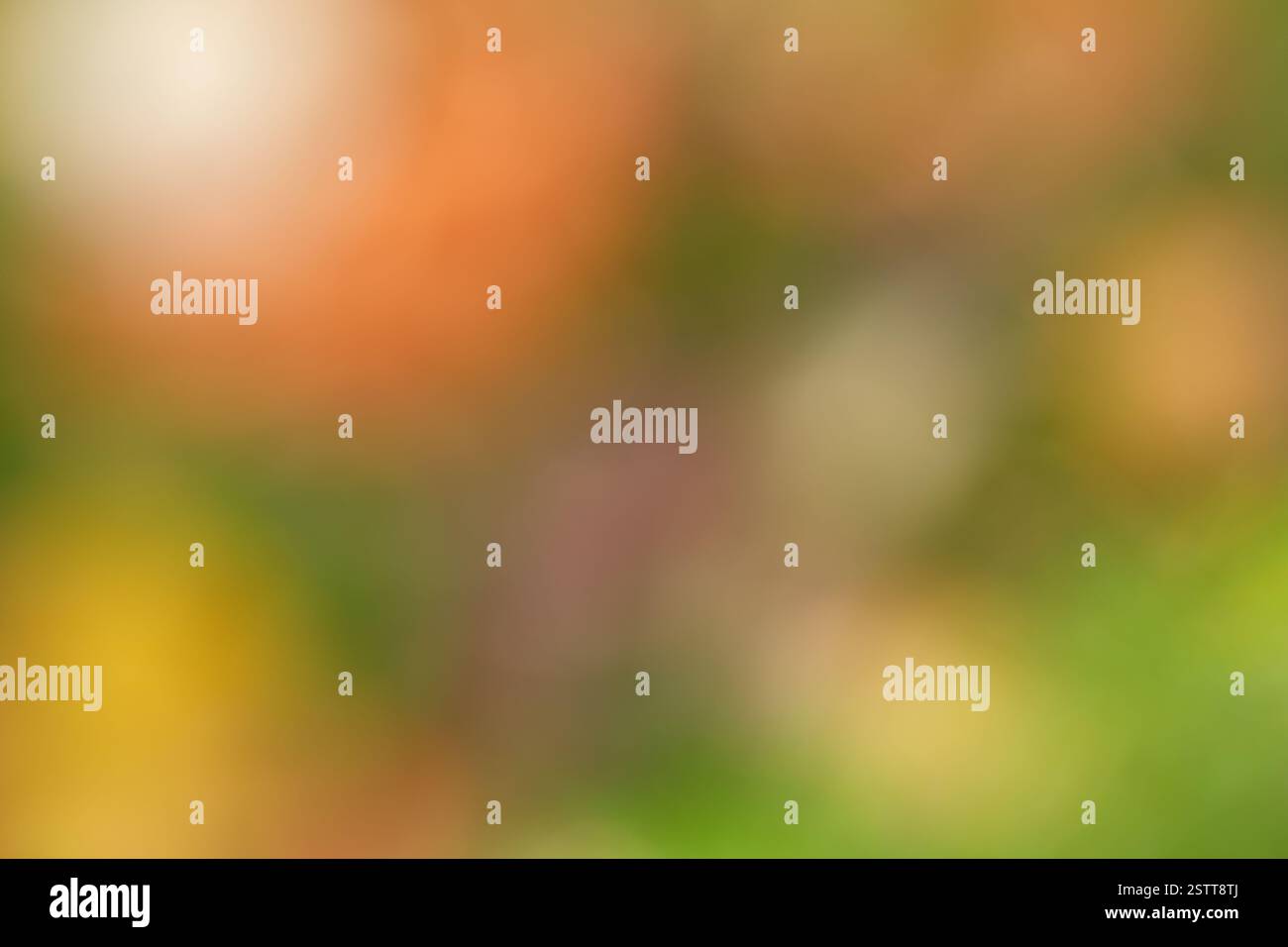 Abstract blurred background of warm and cool tones Stock Photo - Alamy