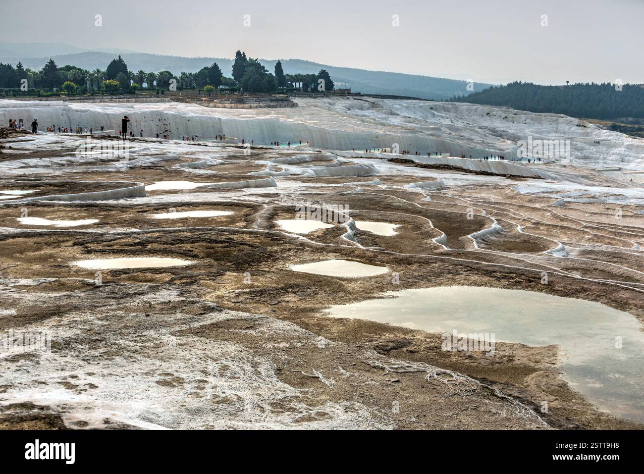 Pamukkale Travertine pool in Turkey Stock Photo - Alamy