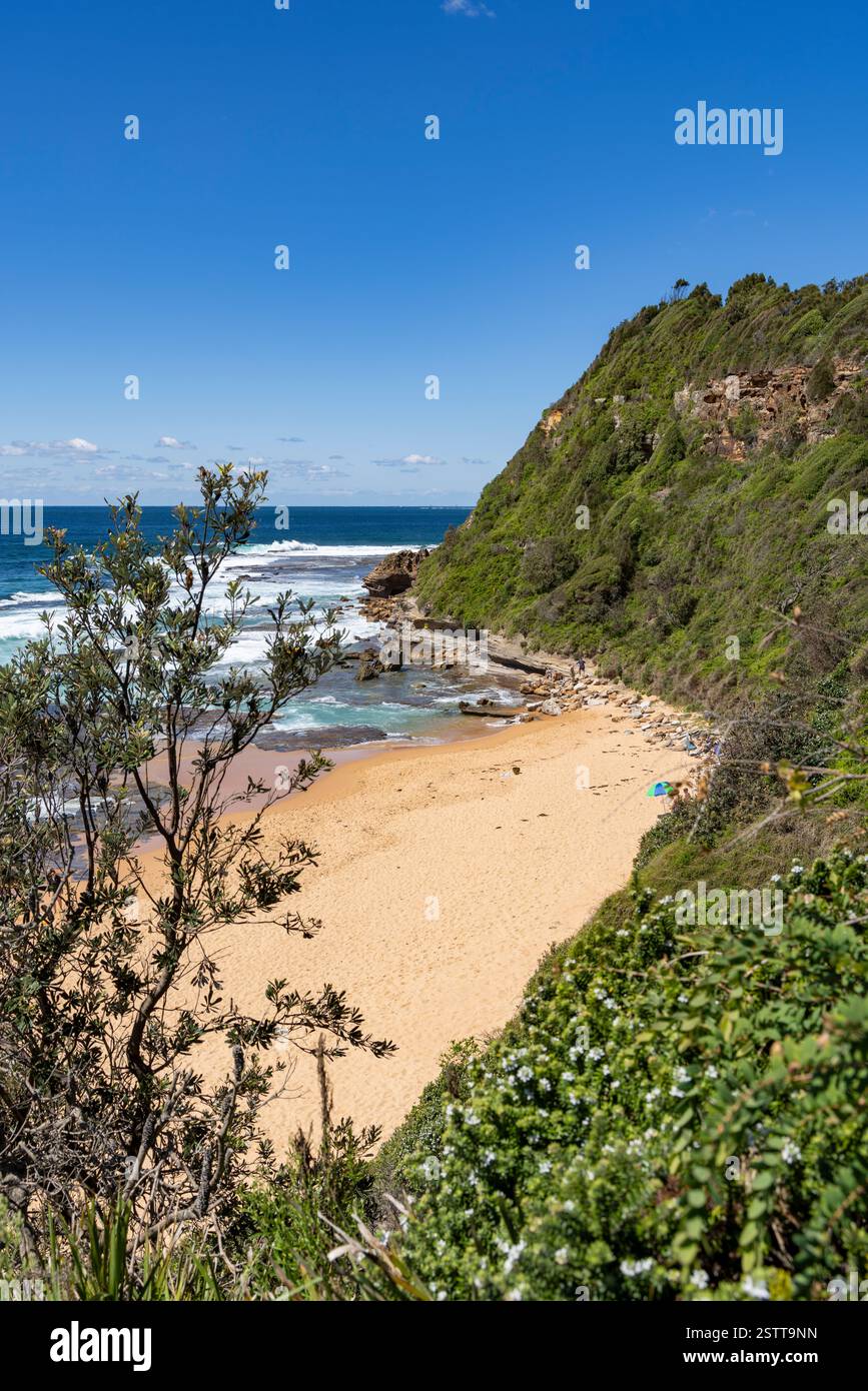 Turimetta Beach and Narrabeen aquatic reserve on Sydney northern ...