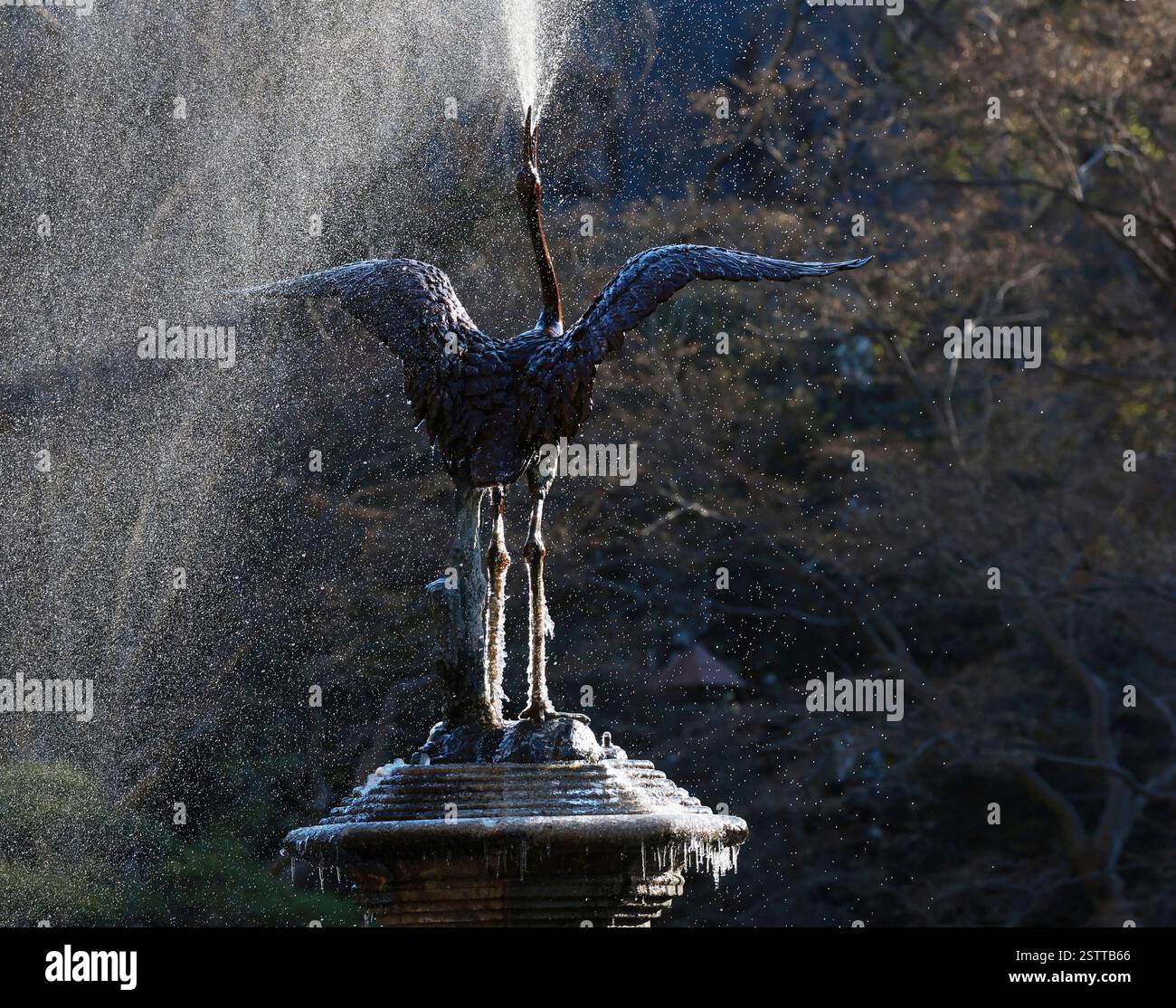 The Crane Fountain is frozen due to the severe cold at Hibiya Park in ...