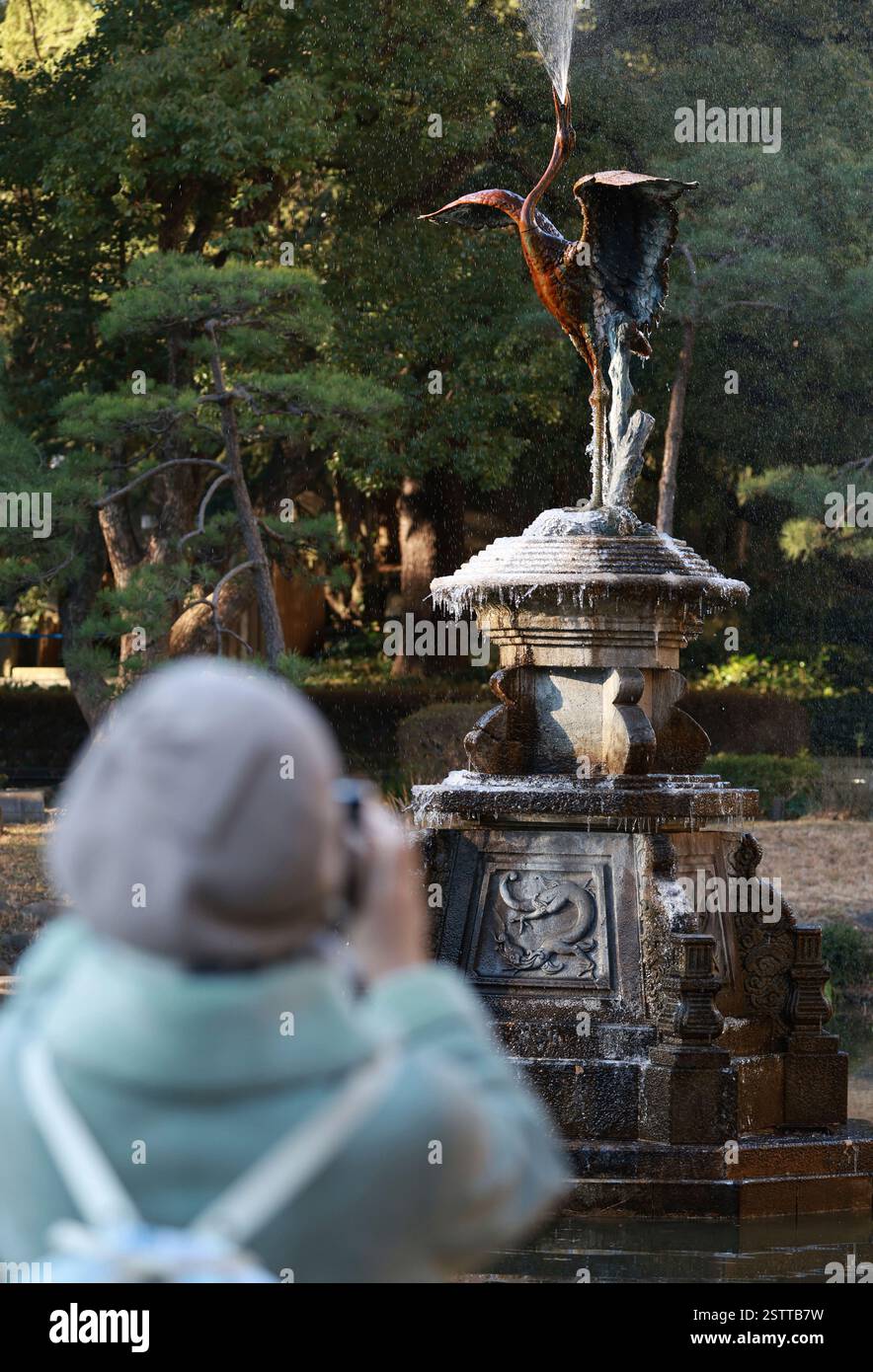 The Crane Fountain is frozen due to the severe cold at Hibiya Park in ...