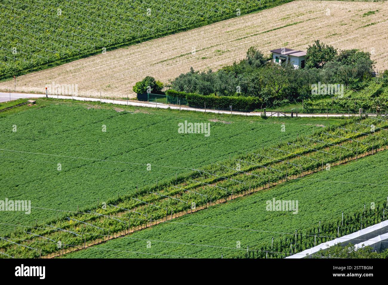 Aerial view of green vegetable garden fields in italy hi-res stock ...