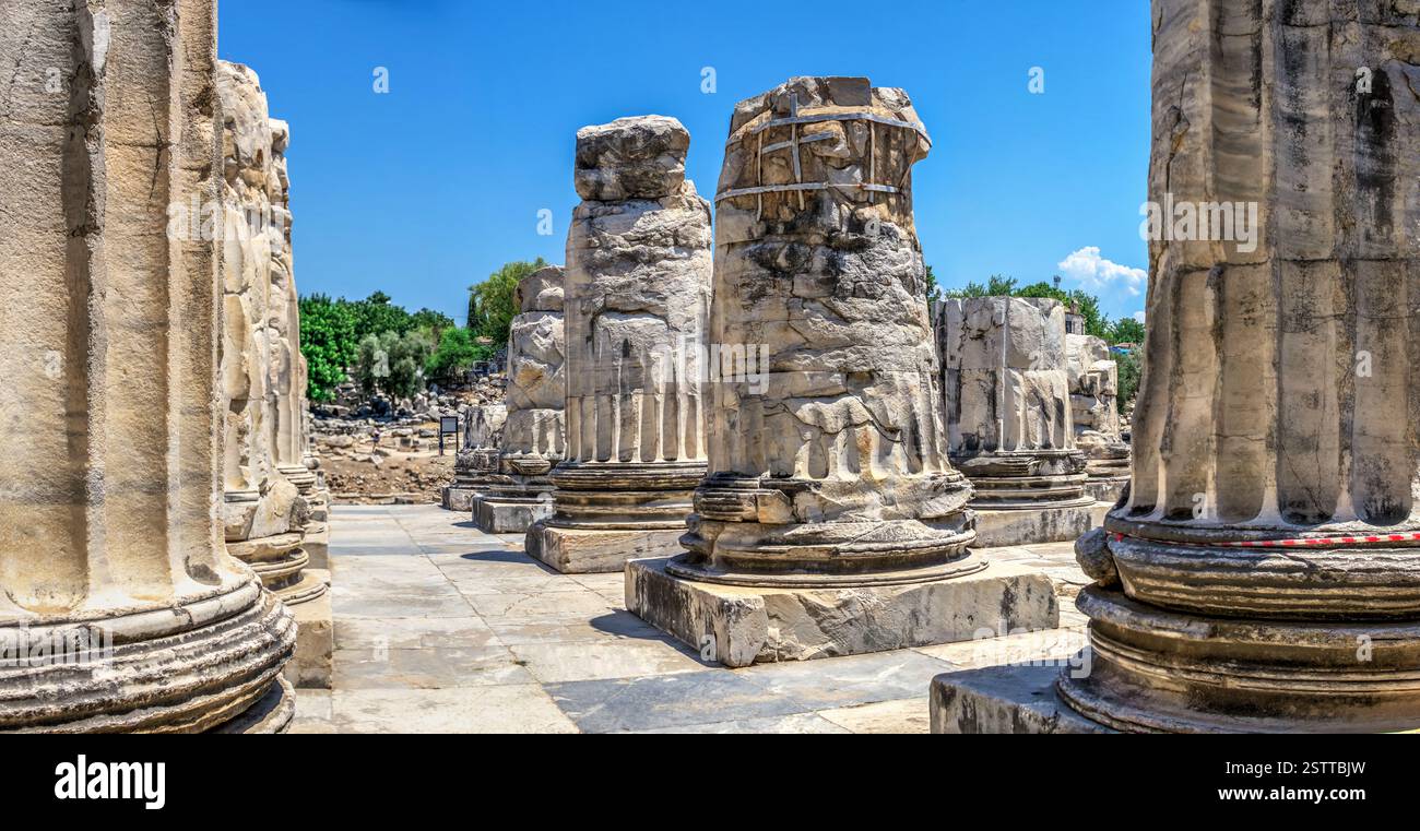 A base of a column of the Temple of Apollo at Didyma, Turkey Stock ...