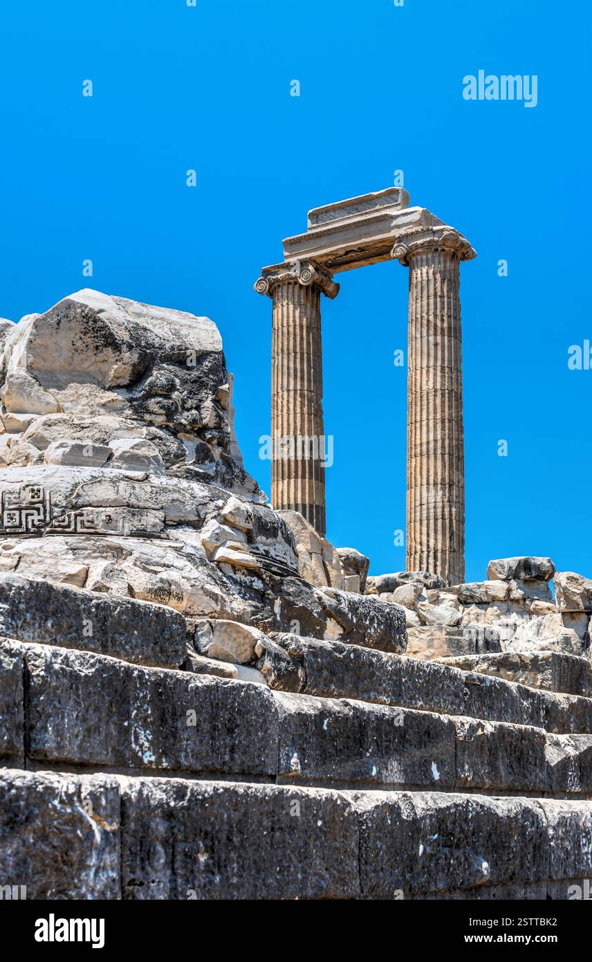 Ionic Columns in the Temple of Apollo at Didyma, Turkey Stock Photo - Alamy