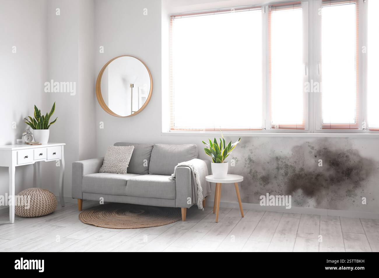 Dangerous mold fungus on wall hi-res stock photography and images - Alamy