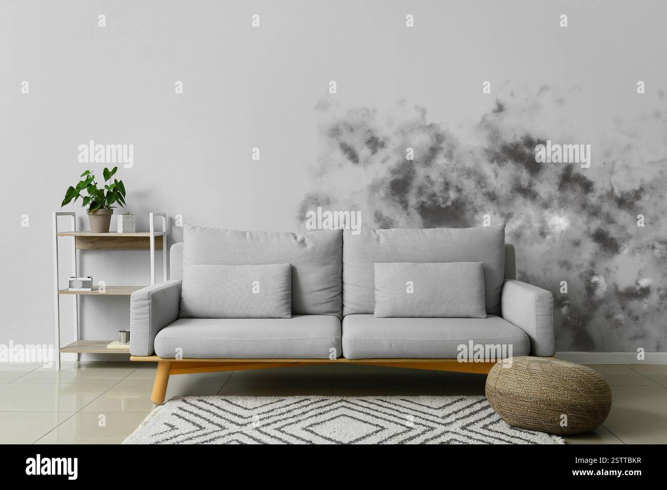 Dangerous mold fungus on wall hi-res stock photography and images - Alamy