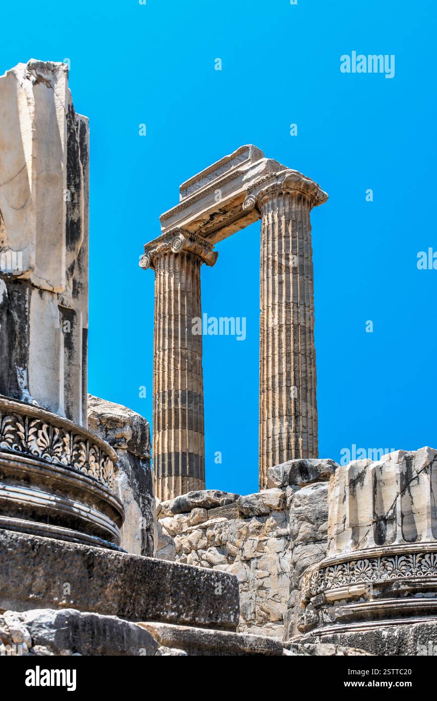 Ionic Columns in the Temple of Apollo at Didyma, Turkey Stock Photo - Alamy