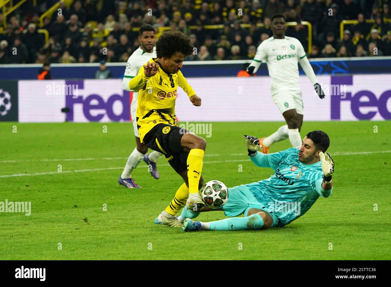 Fussball, UEFA Champions League 2024/2025, Borussia Dortmund- Sporting ...