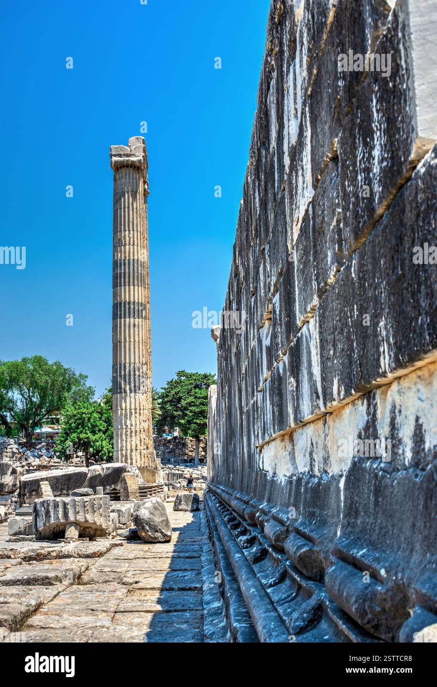 Ionic Columns in the Temple of Apollo at Didyma, Turkey Stock Photo - Alamy