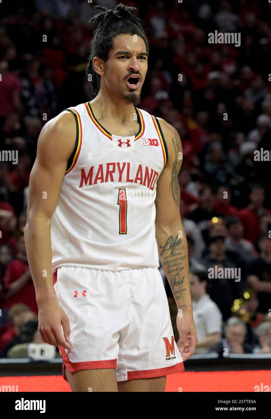 COLLEGE PARK, MD - FEBRUARY 16: Maryland Terrapins guard Rodney Rice (1 ...