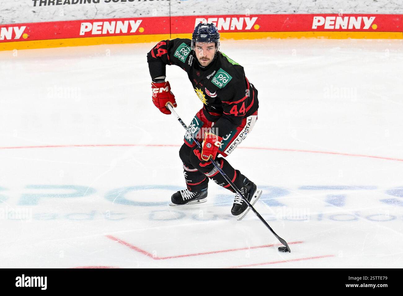 Eishockey DEL - 24/25 - 46.Spieltag: Düsseldorfer EG vs ERC Ingolstadt ...
