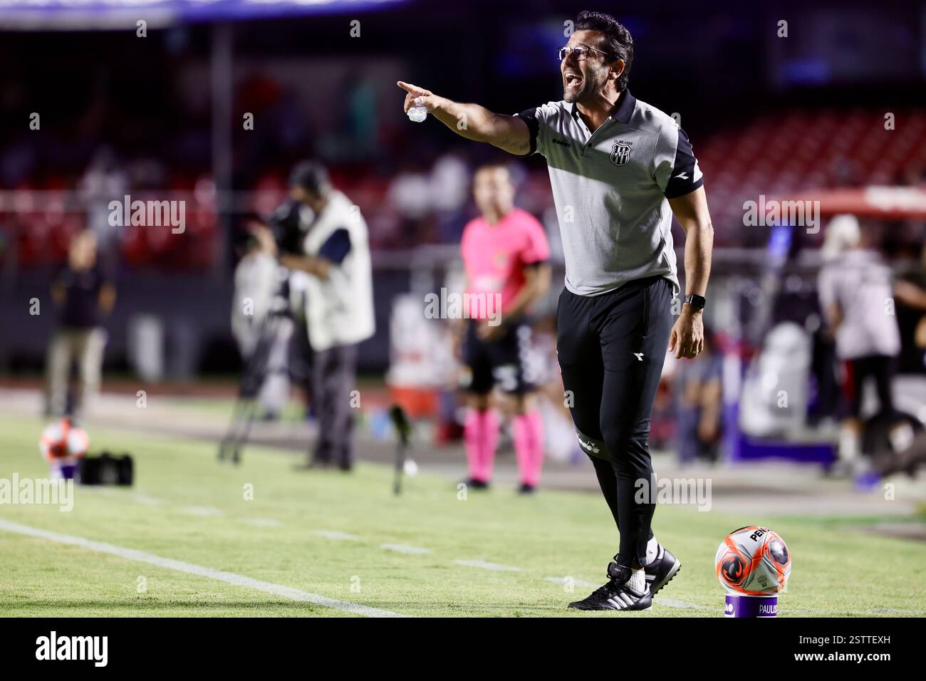 Sao Paulo, Brazil. 19th Feb, 2025. Alberto Valentim, coach of Ponte ...