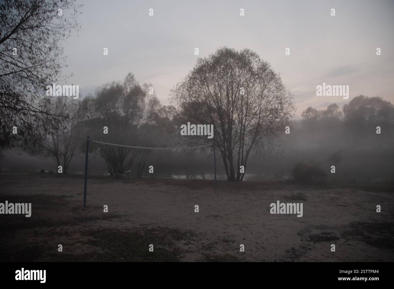 Beautiful amazing mystic autumn white fog in the evening sunset on a ...