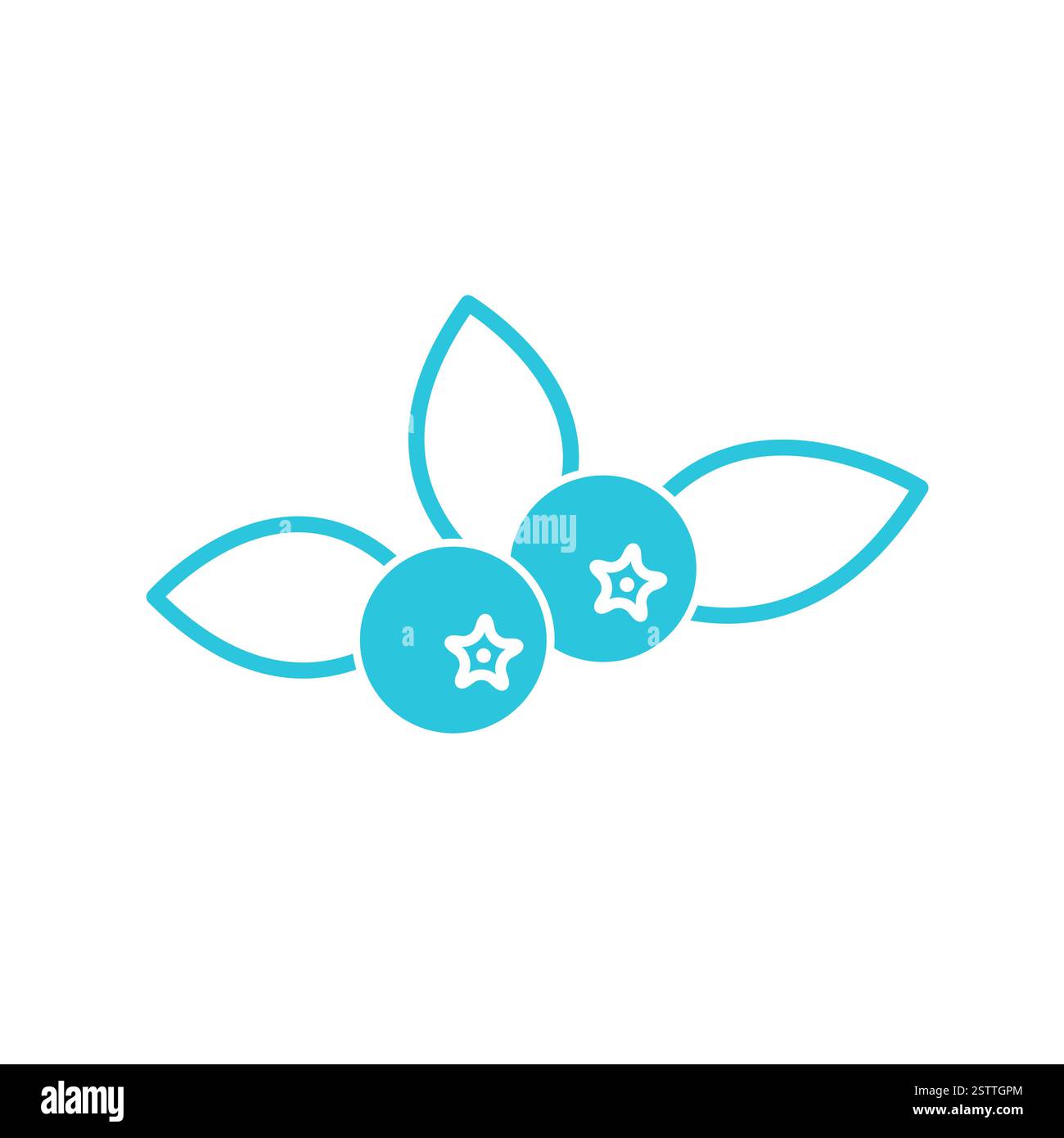 Gift of Nature: Blueberries and Antioxidant Power. Isolated on white ...