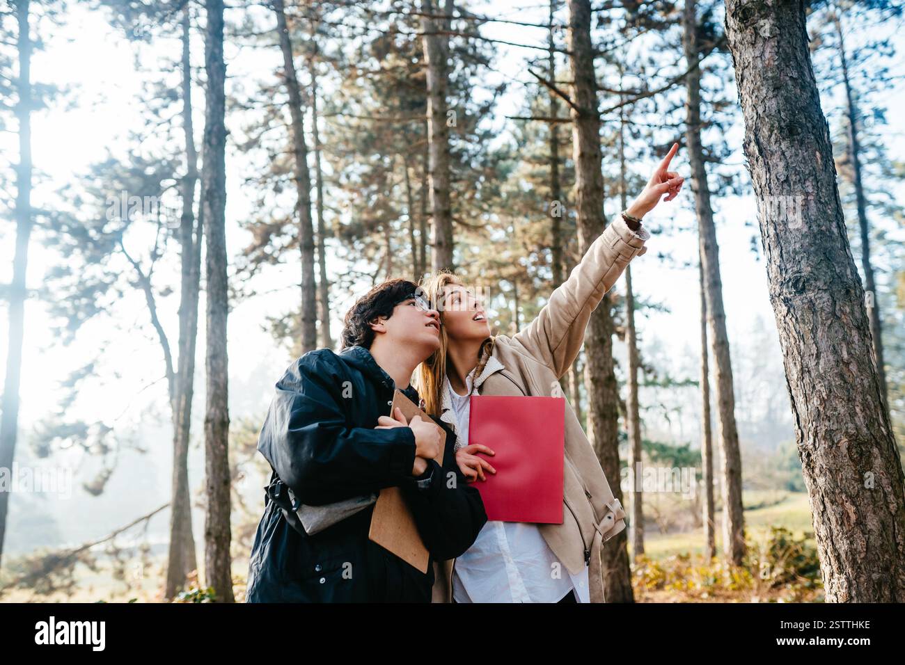 Scientists are studying plant species in the forest. Scientist ...