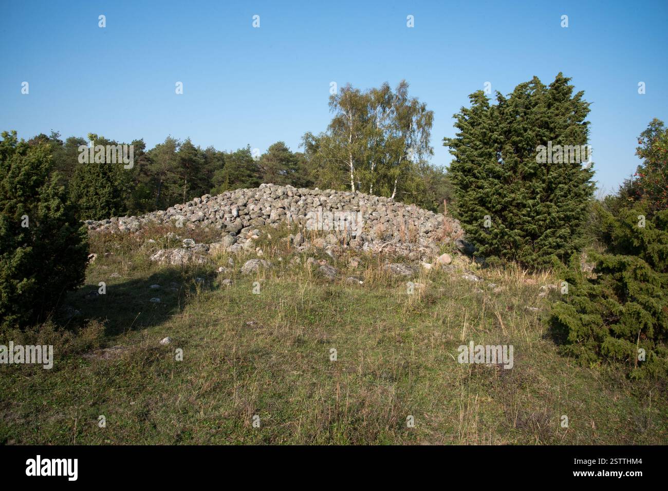 Constructed in Bronze Age just aside Uggarde rojr is a 3,5 meter high ...