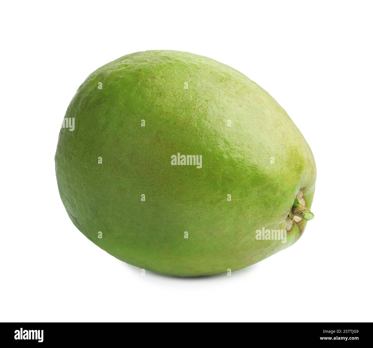 One fresh guava fruit isolated on white Stock Photo - Alamy