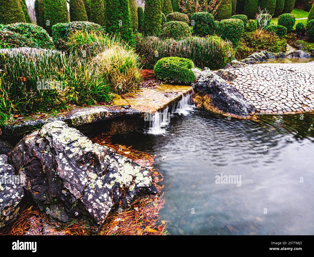 On the right side is a mirror of water hi-res stock photography and ...