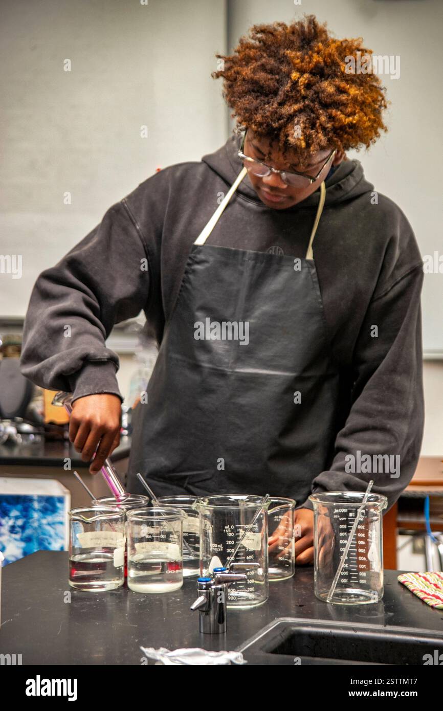 An African-American Advance placement (AP) high school chemistry ...