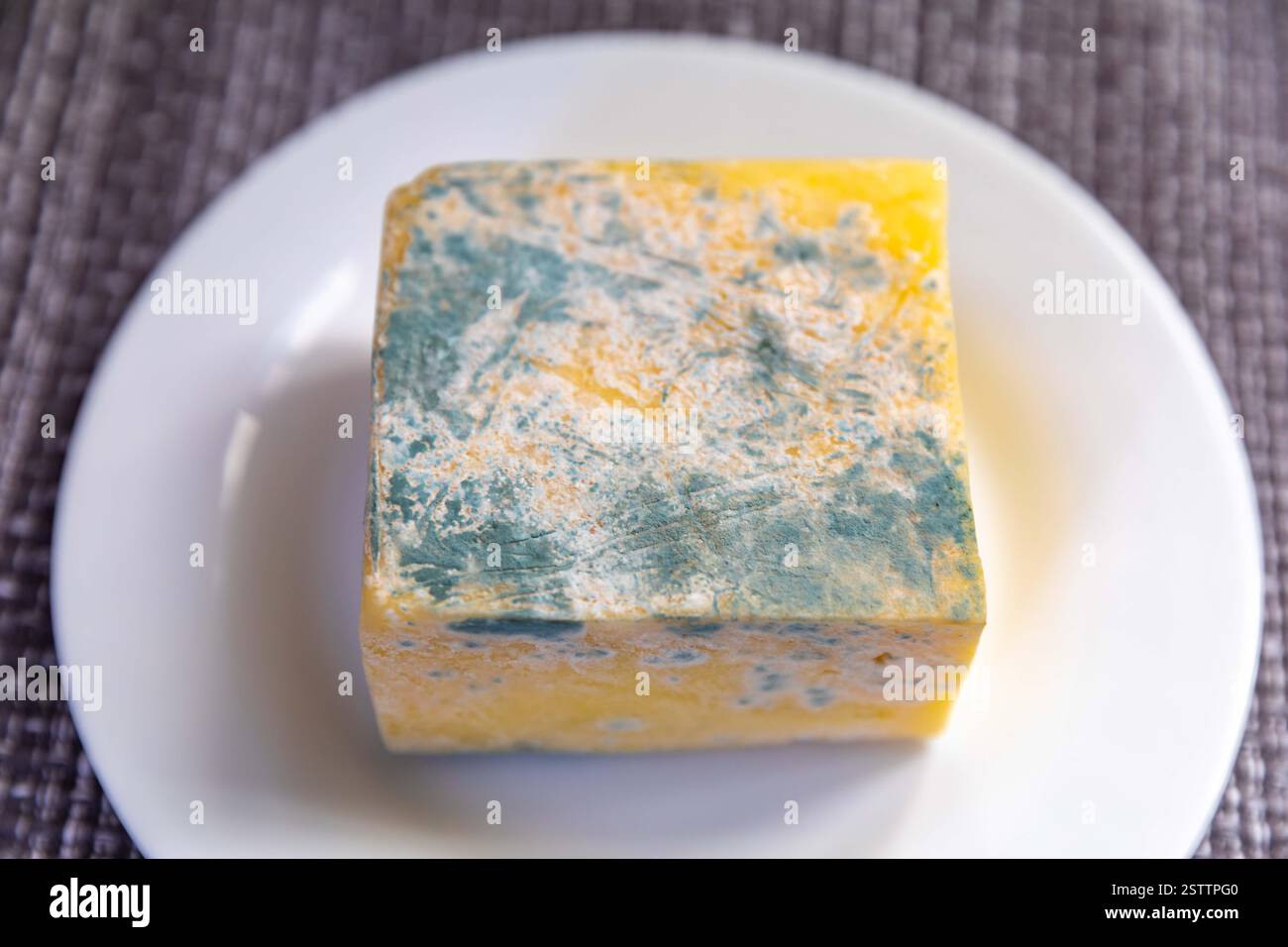 Old, moldy cheese with greenish fungus Stock Photo - Alamy